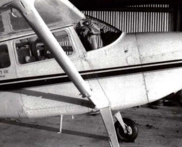 Wings with Springs - Wing Suspension for Small Aircraft
